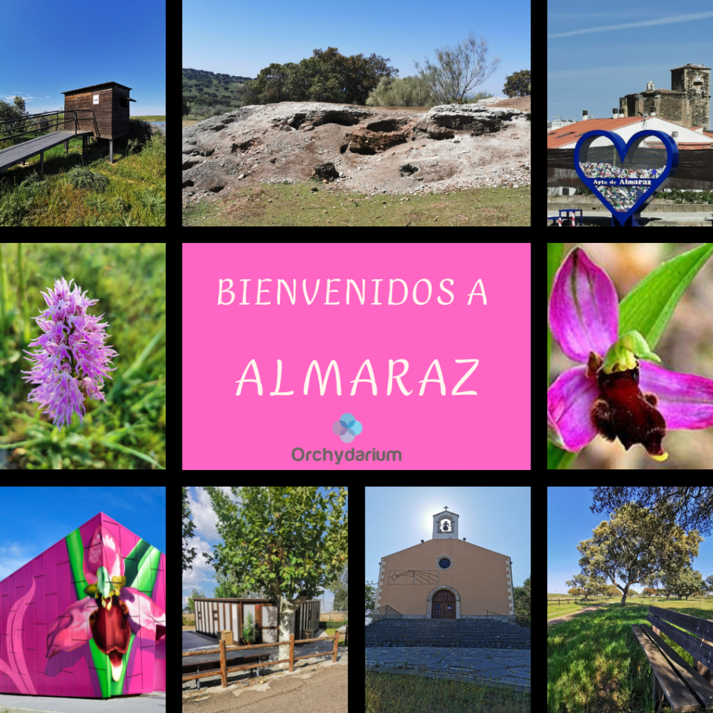 Almaraz - Orchydarium
